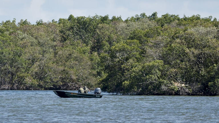 Fisherman on kayak found missing USF student’s body, sheriff says