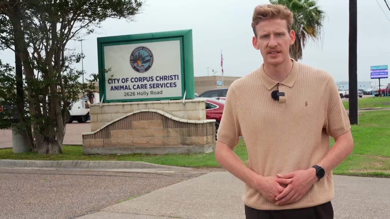 Corpus Christi pulls job offer for animal care services director