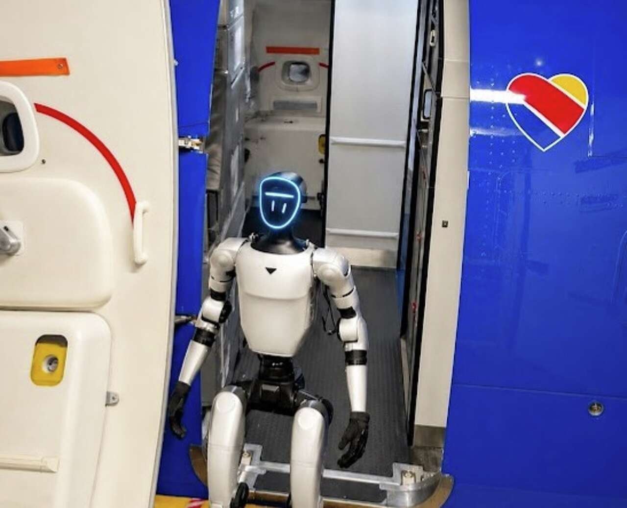Robot passenger delays Southwest flight