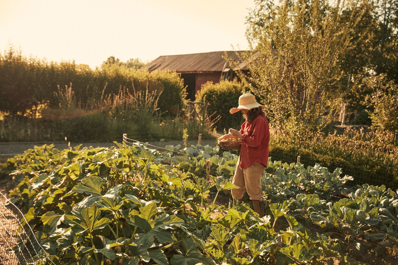 Everything your garden (and you) need to thrive