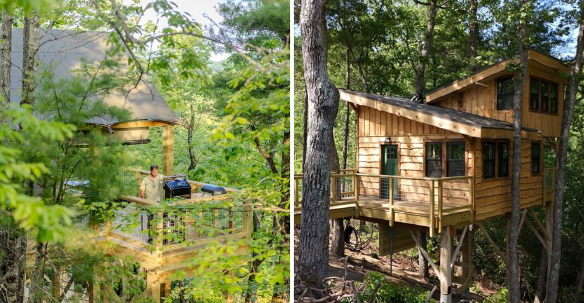 This glamping resort in Saluda, North Carolina has rare blue ghost ...