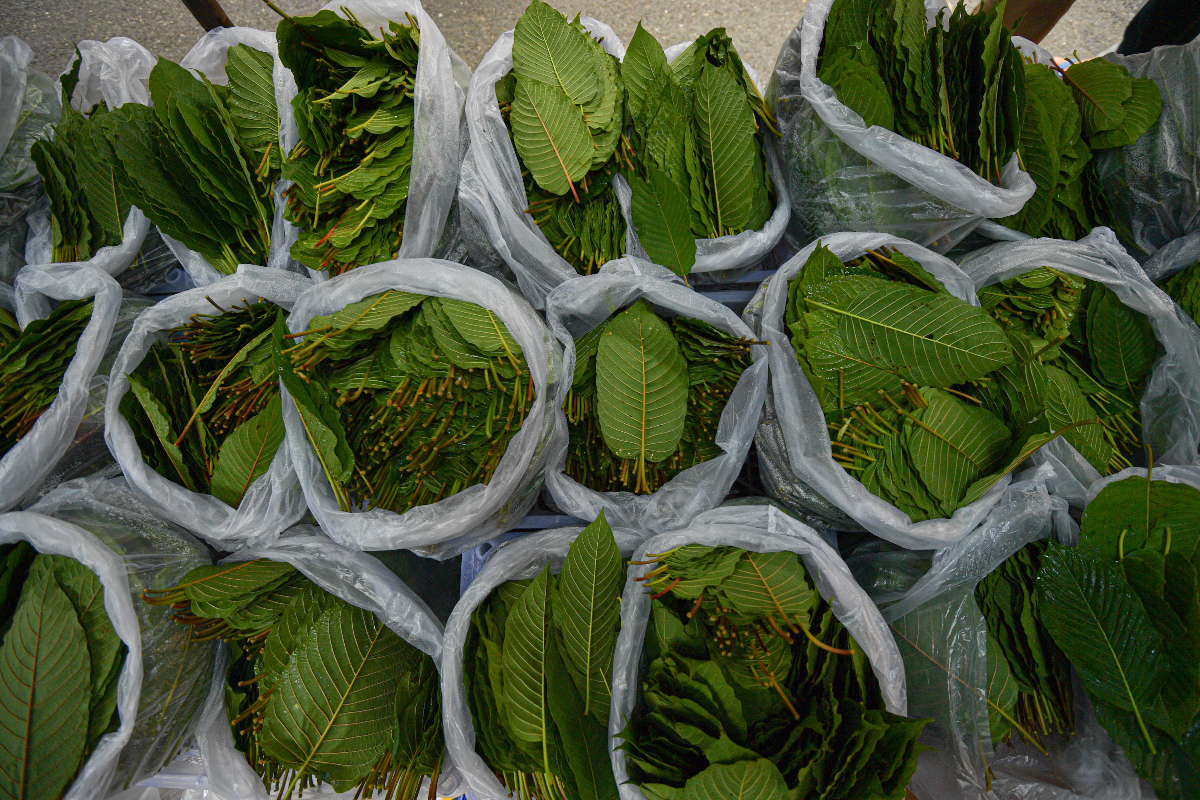 State officials file legal action against Kratom manufacturer