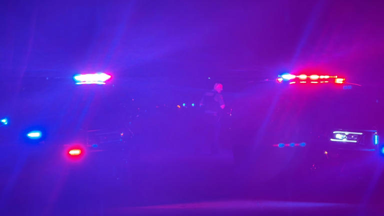 Ottawa police officer shot while helping apprehend homicide suspect ...