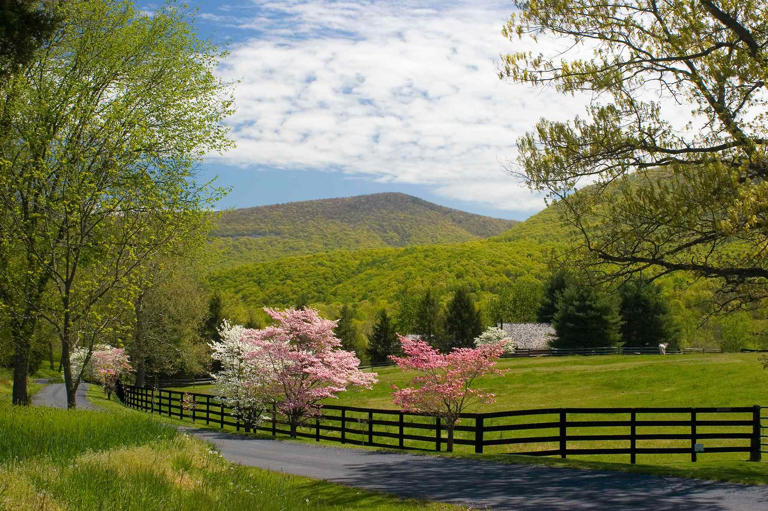 I grew up in Virginia, and this scenic region with Blue Ridge views and ...