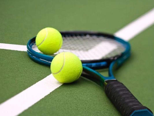 Matanzas' Daniel Patsula falls just short of state tennis championship