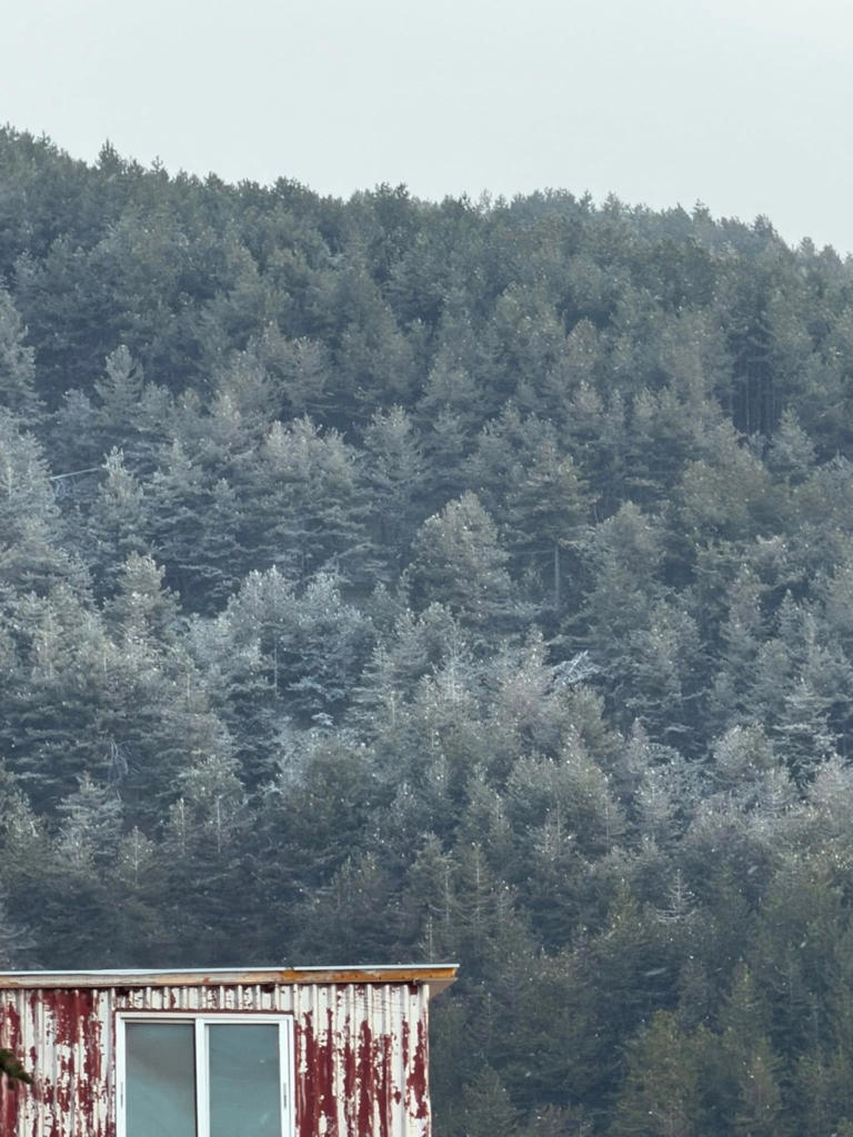 Πρωτομαγιά με -3 βαθμούς Κελσίου: Που καταγράφηκε η μικρότερη ...