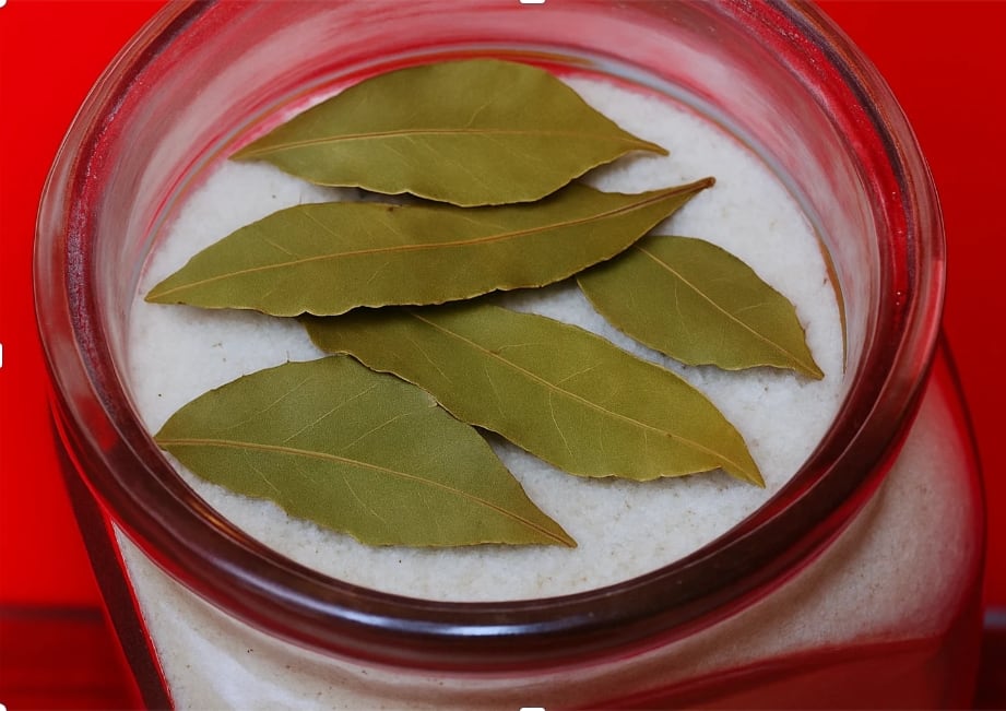Mezclar hojas de laurel con bicarbonato: para qué sirve y por qué lo ...