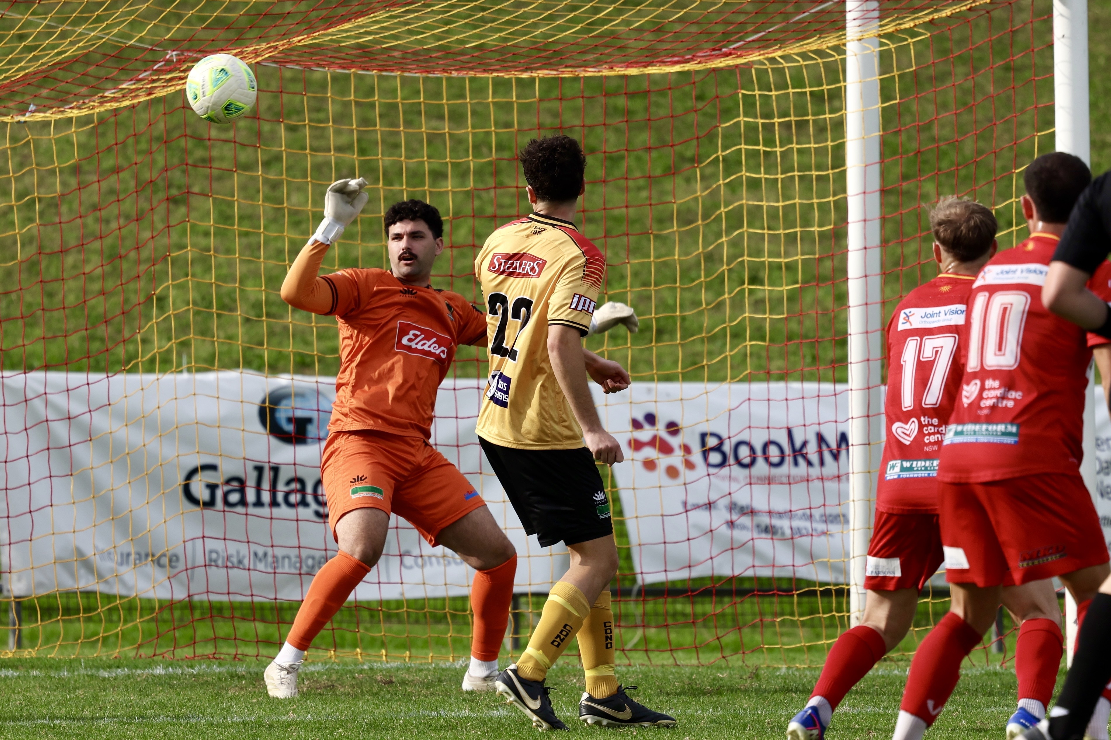 Illawarra Premier League