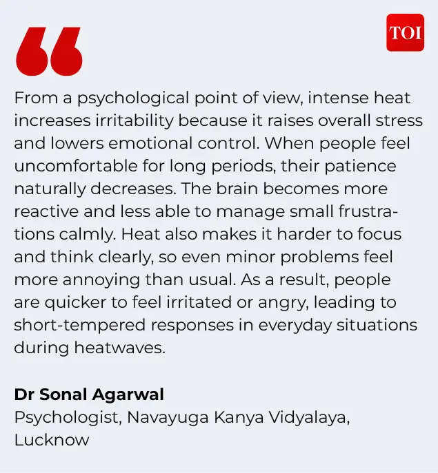 Feeling hot-headed this summer? You’re not alone. Science explains why