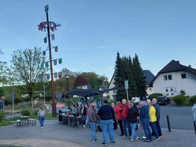 Rinder-Alarm beim Maibaumfest: Ausgebrochene Tiere stürmen in den Dorfpark