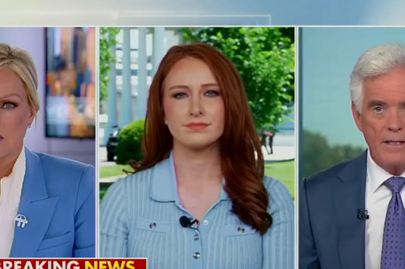 Fox viewers turn on Karoline Leavitt's 'insufferable' replacement after ...