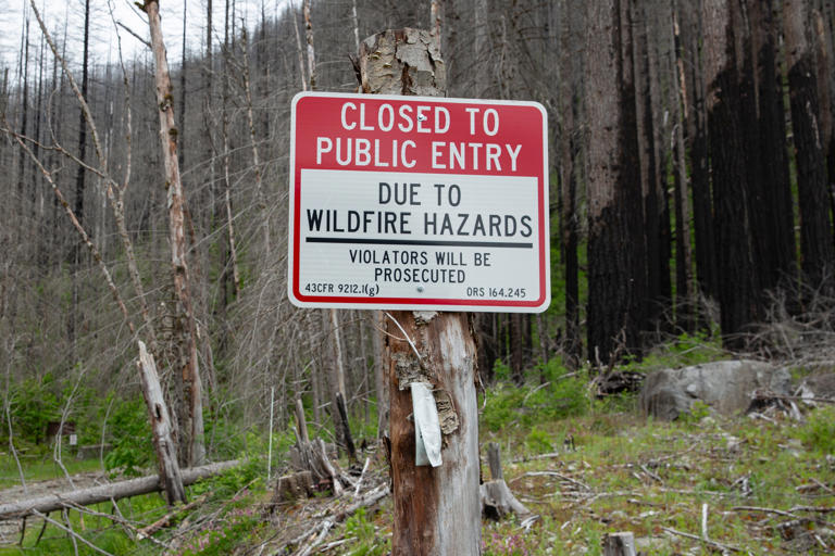 Copper mine proposed on edge of Opal Creek Wilderness near Detroit