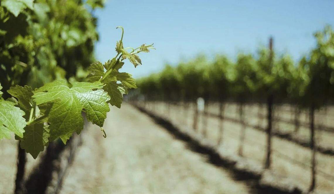 New fee will charge Paso Robles farmers for water they used last year