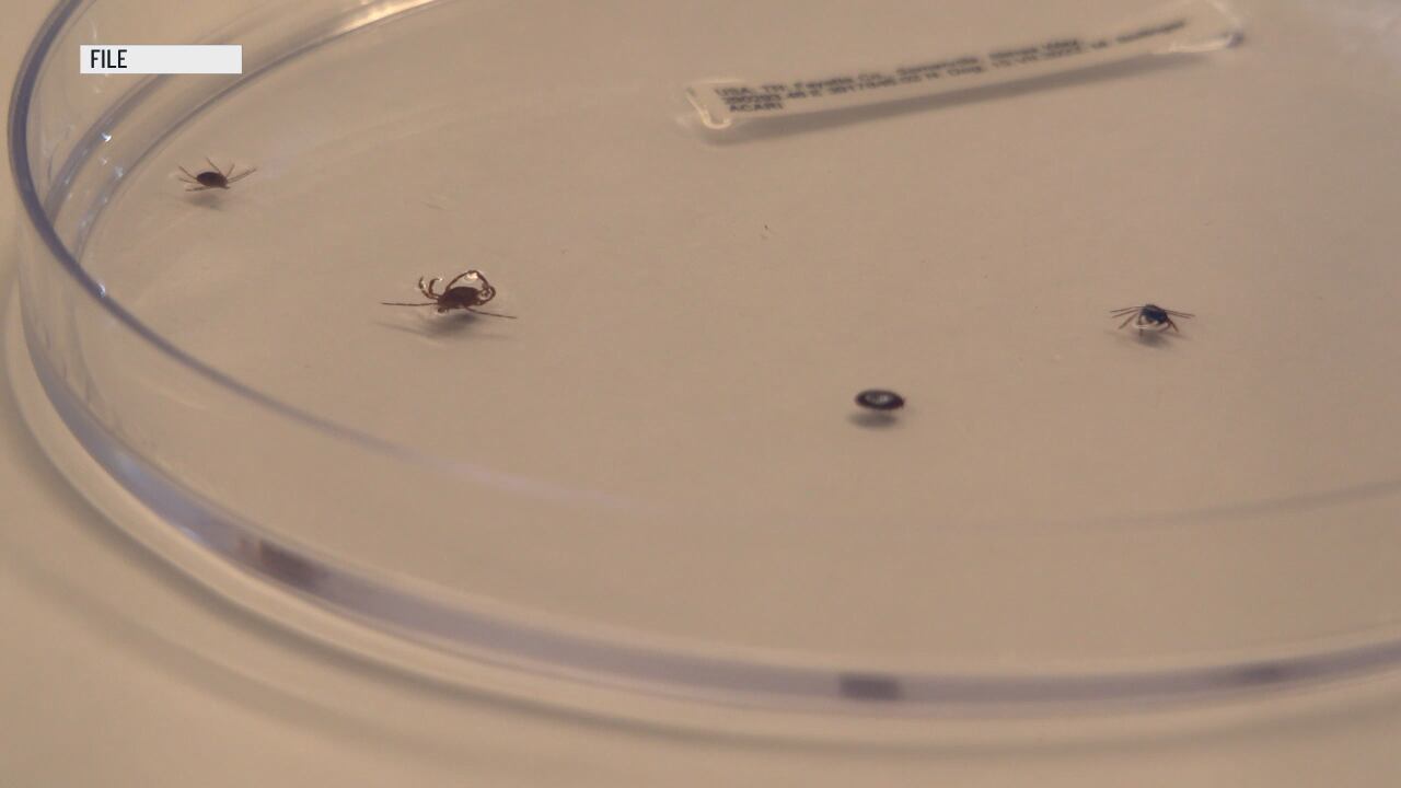 Arkansas tick season brings warning about alpha-gal syndrome
