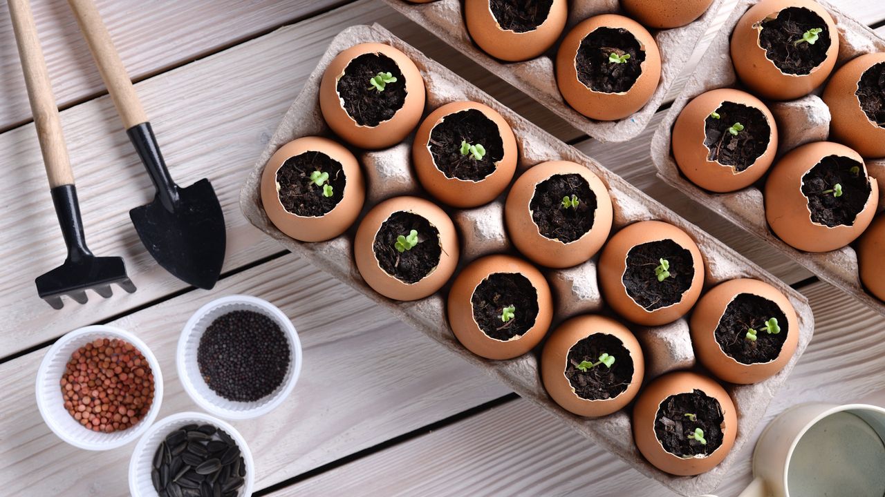 This nostalgic gardening trick is the perfect non-toxic swap for spring ...