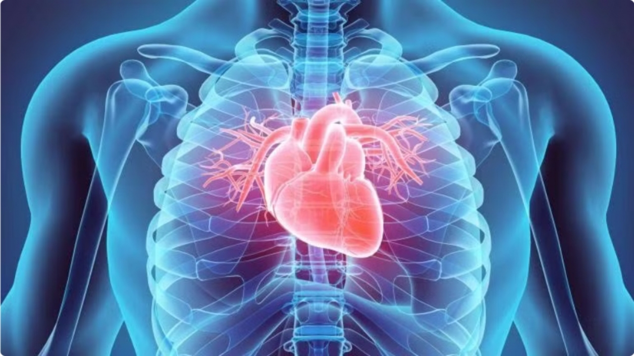Những thói quen buổi sáng tưởng vô hại nhưng làm tăng nguy cơ bệnh tim