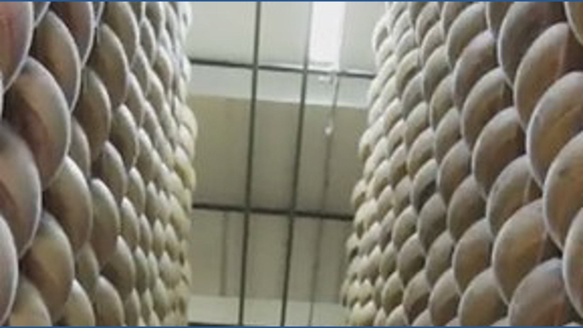 Parmesan in this 'cheese bank' is worth millions