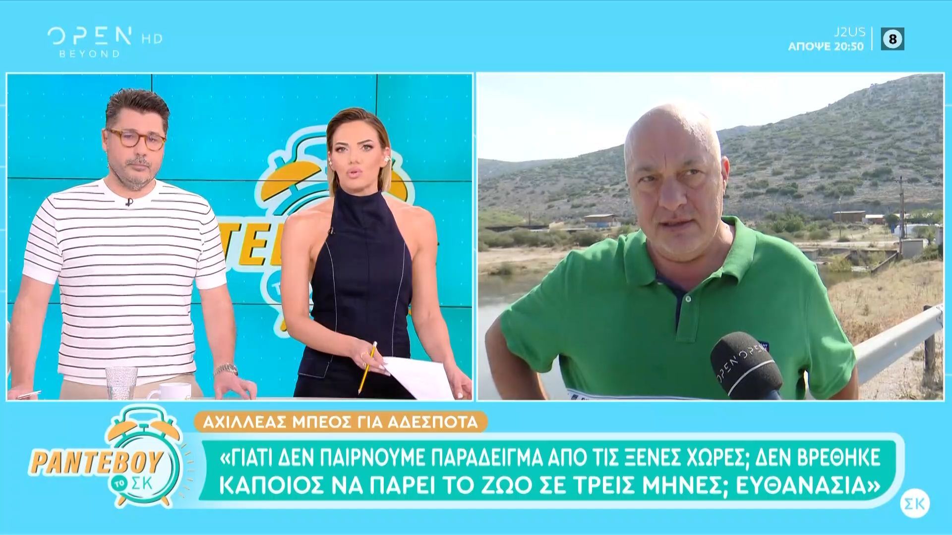 Αχιλλέας Μπέος: Υπέρ της ευθανασίας σε αδέσποτα που δεν υιοθετούνται ...