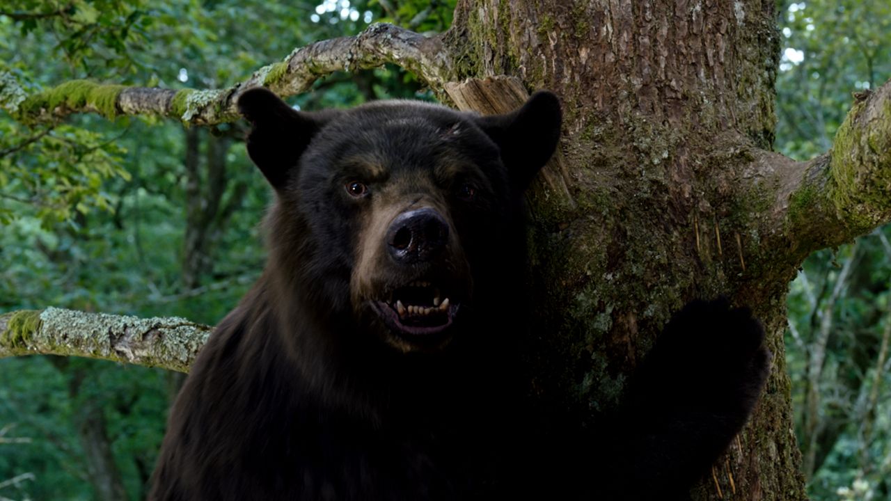 Scary animal movies that aren't about dinosaurs or sharks