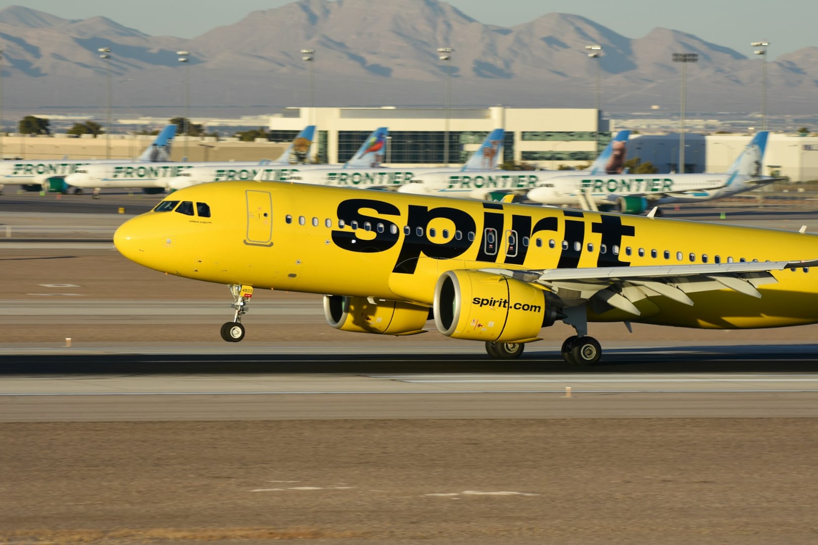 Spirit Airlines quiebra y cancela todos sus vuelos: guía urgente para ...