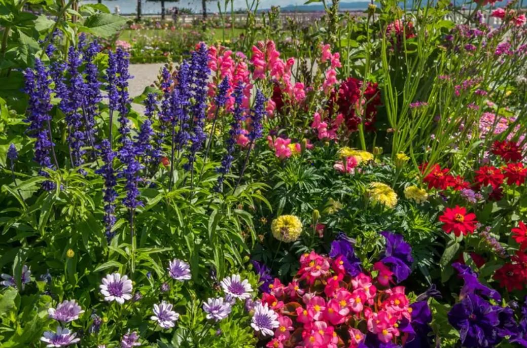 8 Outdoor Plants That Are Nearly Impossible To Kill
