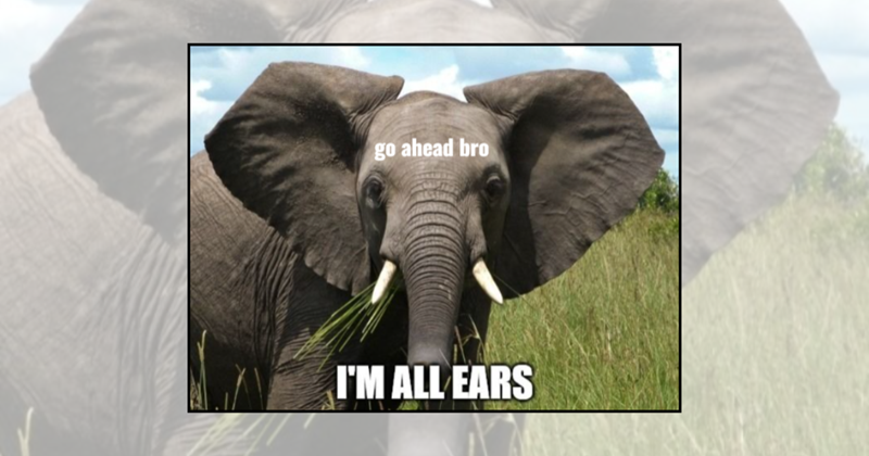 21 elephant memes carrying a trunk-full of happiness to your day