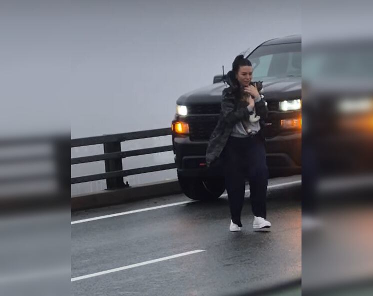 'Happy reunion': Franco the calico cat rescued from Halifax bridge ...