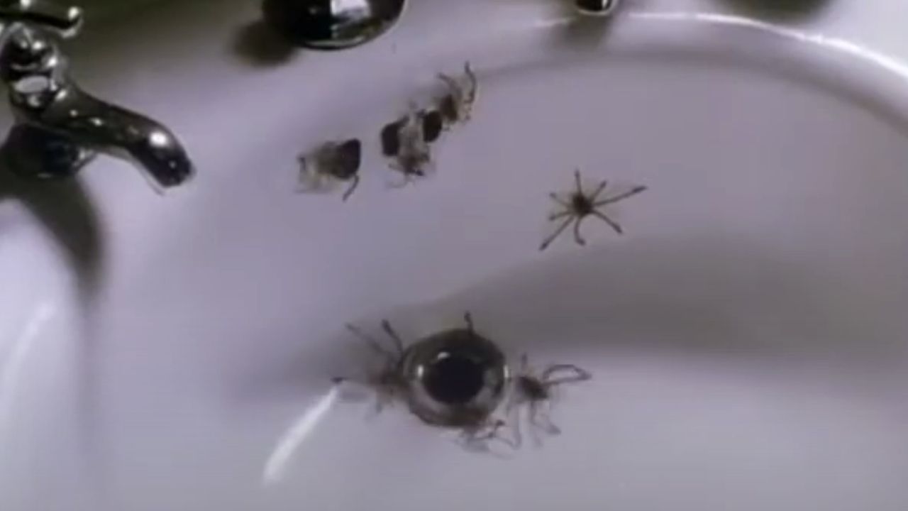 Scary animal movies that aren't about dinosaurs or sharks