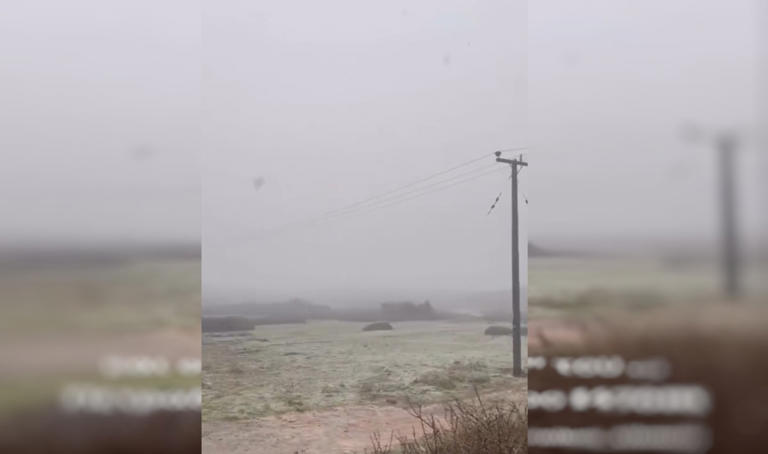 Χιόνι στα Ανώγεια: Στα «λευκά» τα Πετραδολάκια – Δείτε βίντεο
