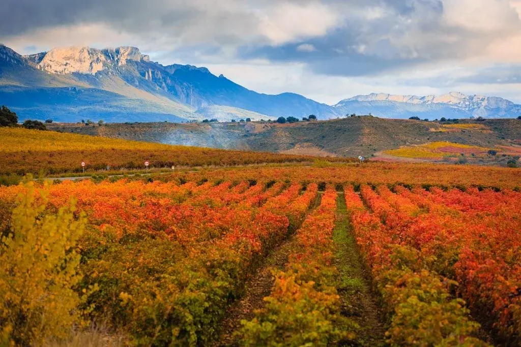 People share the best wine regions they've visited