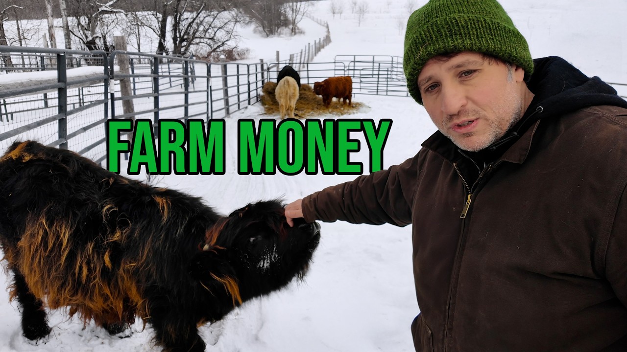 The honest truth about how much this farm earned