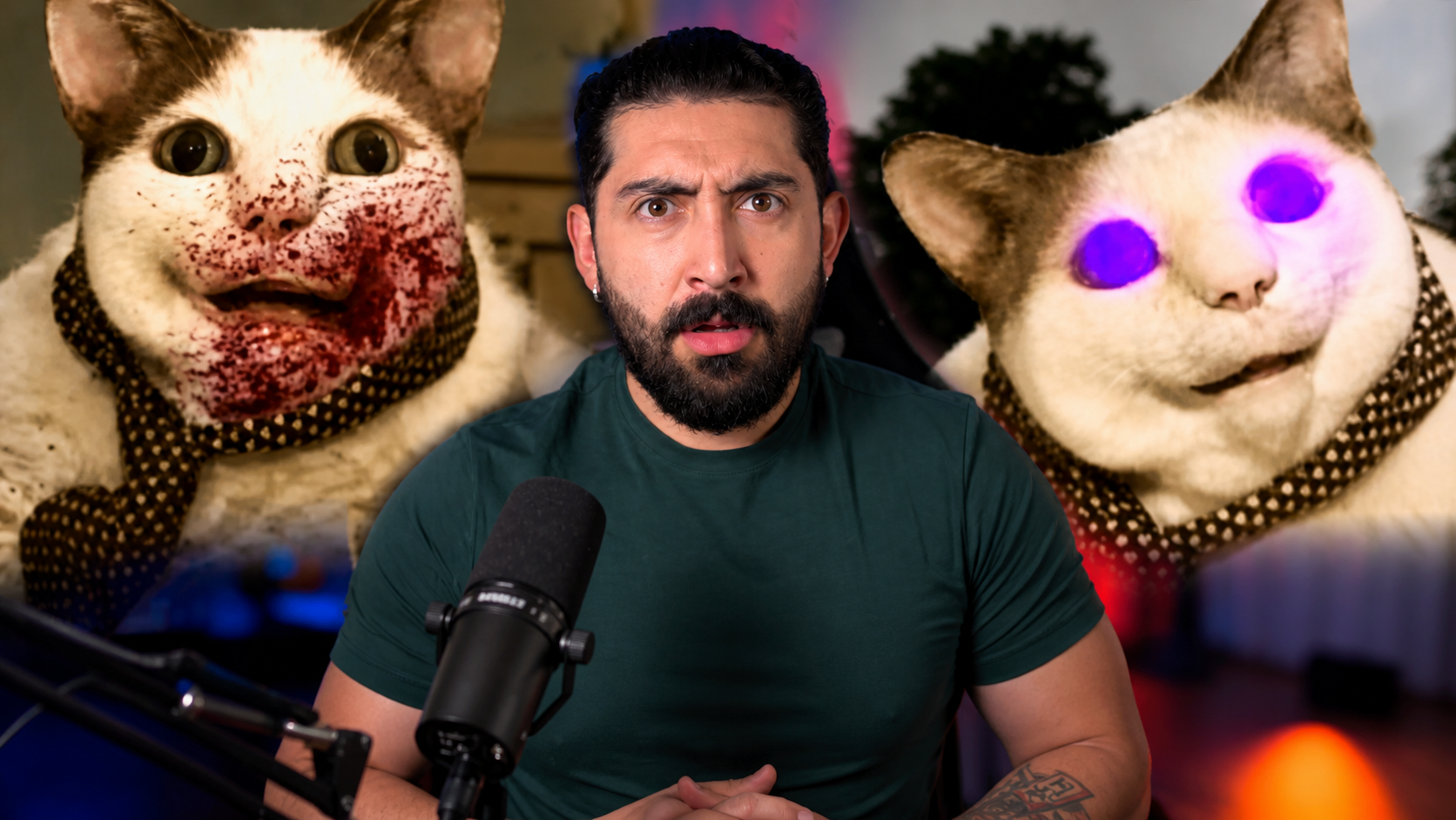 No confíes en ese gato