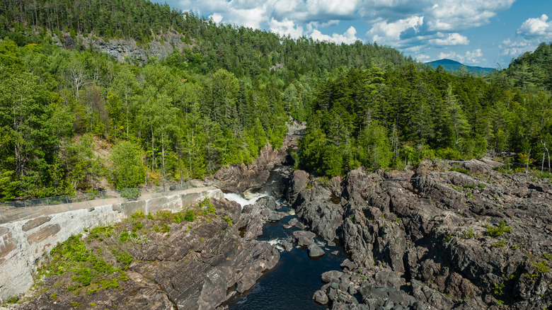 The largest undeveloped forest in the eastern US is Maine's ...
