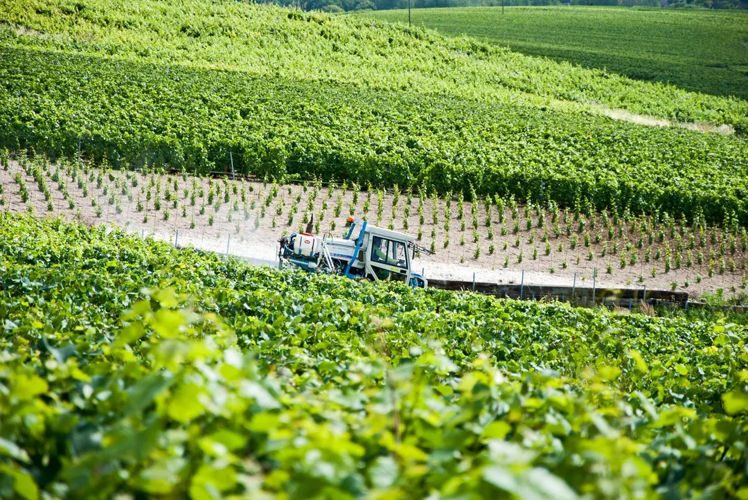 People share the best wine regions they've visited