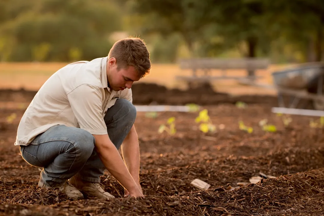 How to build a high-yield garden in any backyard space