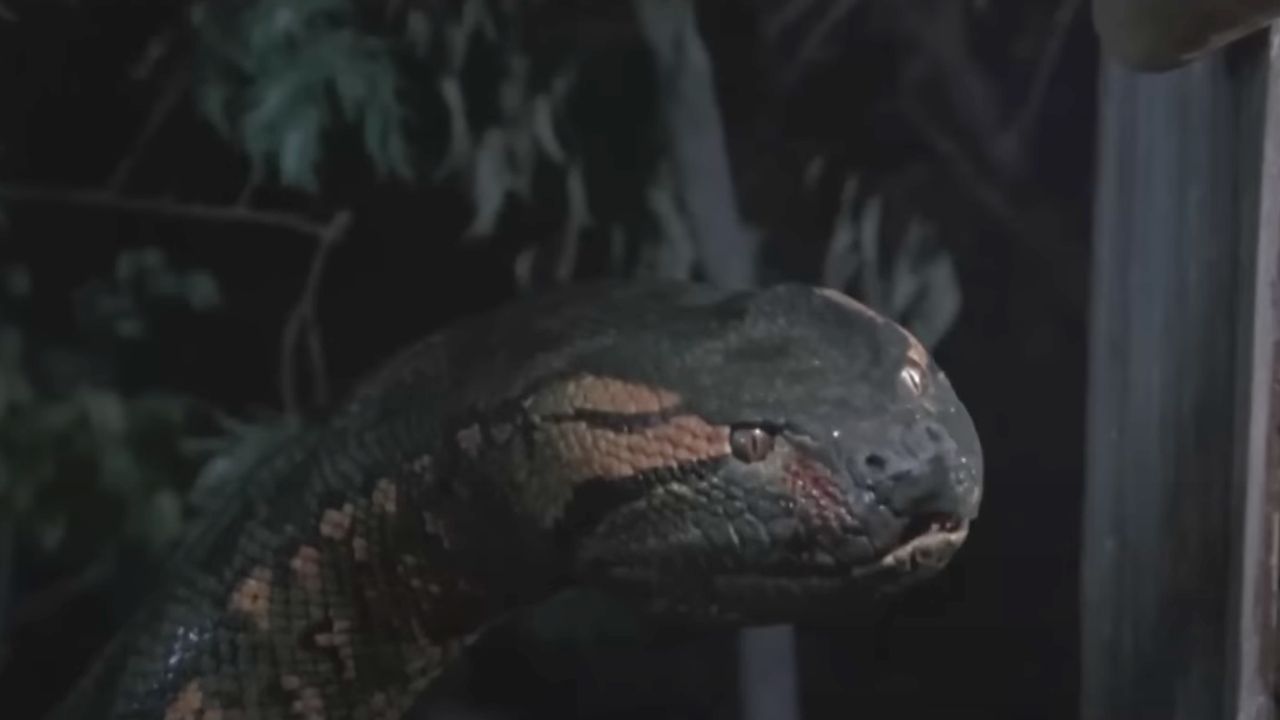 Scary animal movies that aren't about dinosaurs or sharks