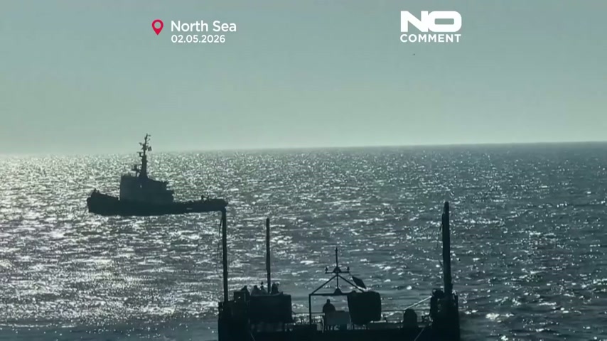 Humpback whale stranded in Germany released into North Sea