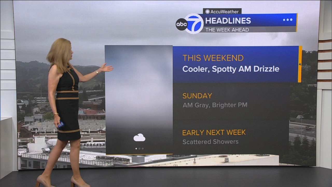 AccuWeather forecast: Cool, cloudy