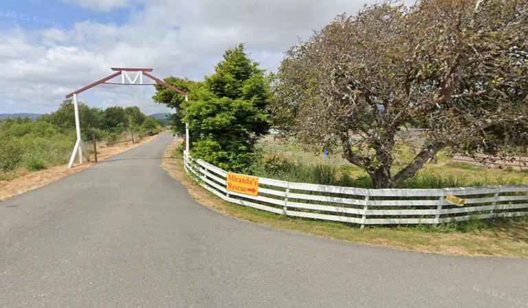 Humboldt County Sheriff’s Office investigates animal cruelty ...