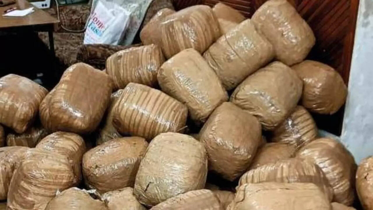 Patna police recover ganja, cash in anti-narcotics raid