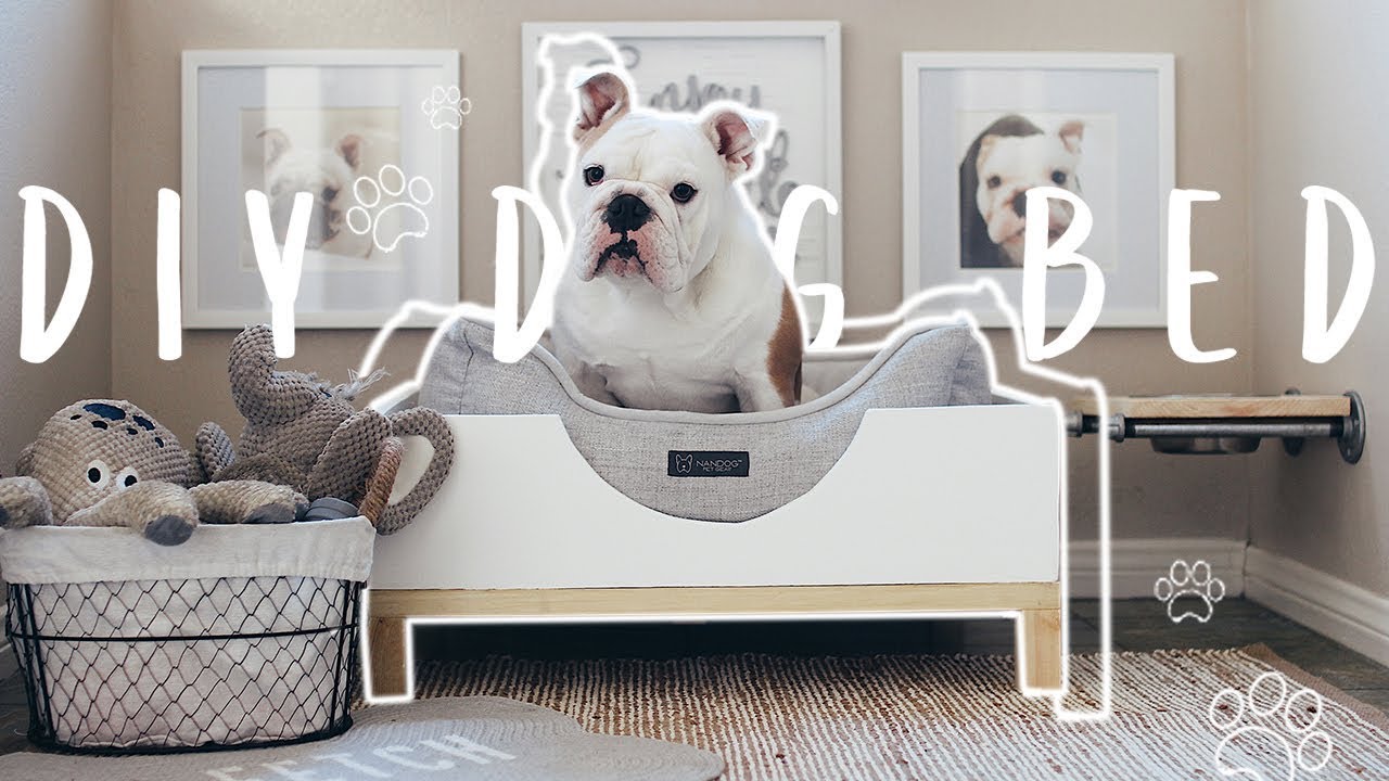 I built a custom dog bed in 4 hours!