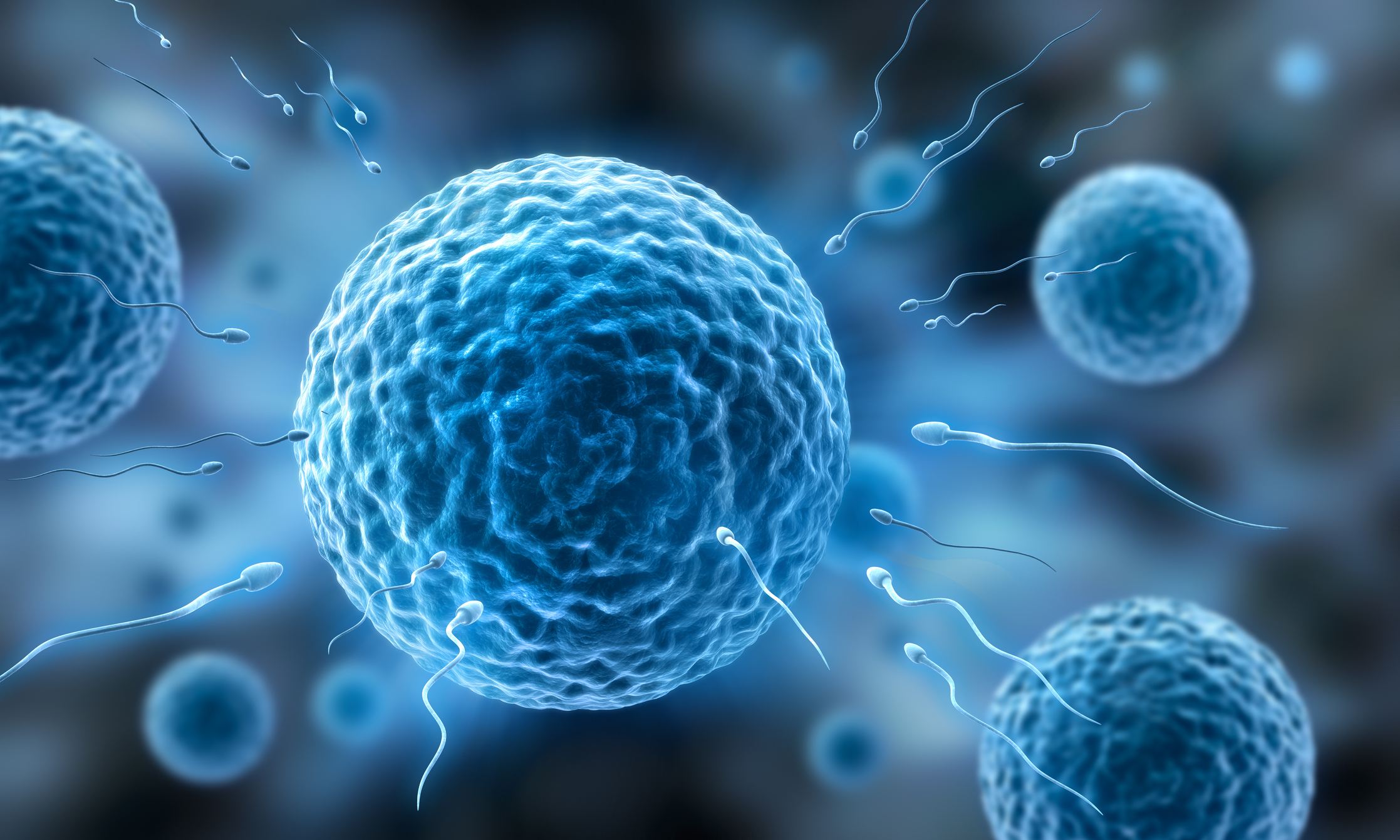 Twins' nagging doubts on paternity lead to shocking find