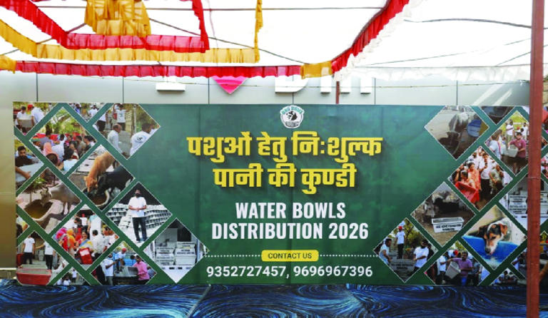 Dog Home Foundation deploys water safety net for animals