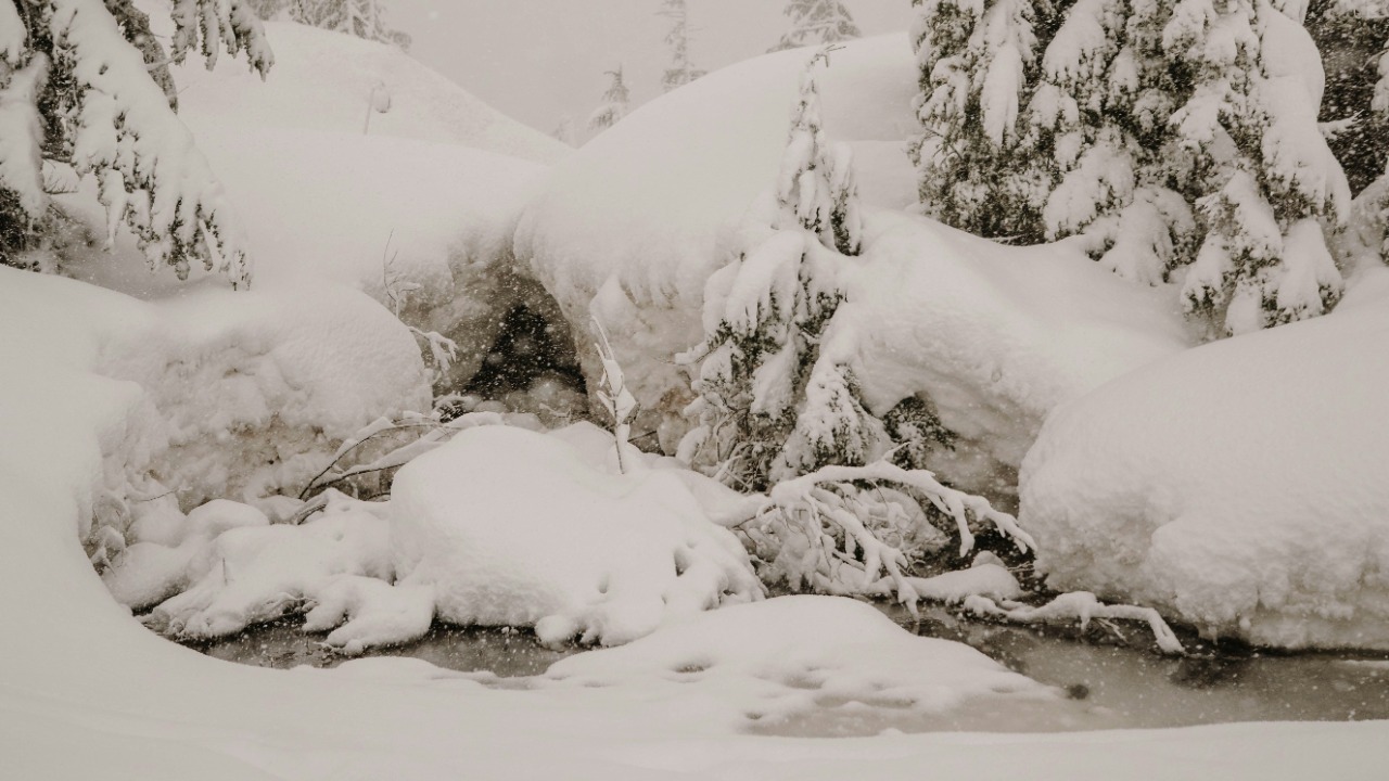 Washington state declares statewide drought emergency over dismal snowpack