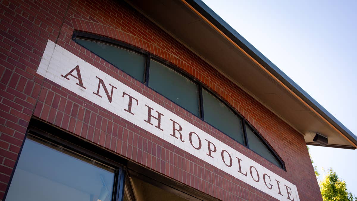 Anthropologie’s $20 pet finds are a whimsical lineup of crocheted ...