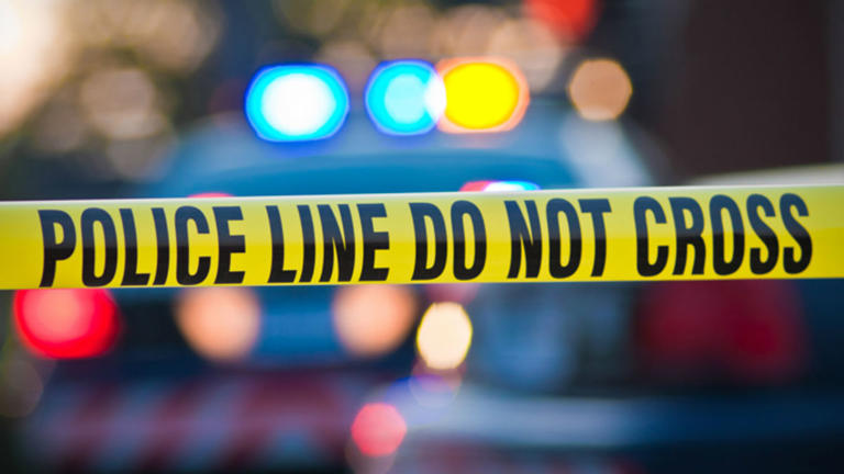 4-year-old boy left in car dies in Valley Village, police say