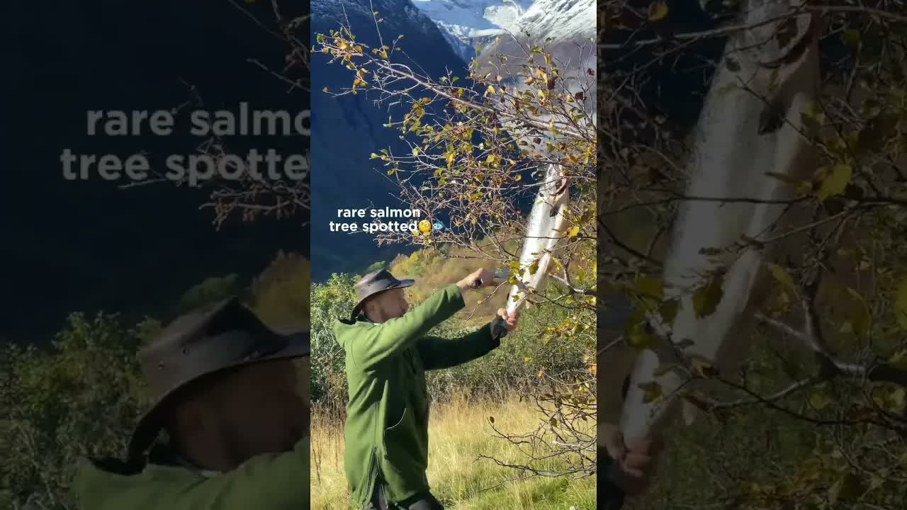 He spotted a very rare salmon - and something is very weird