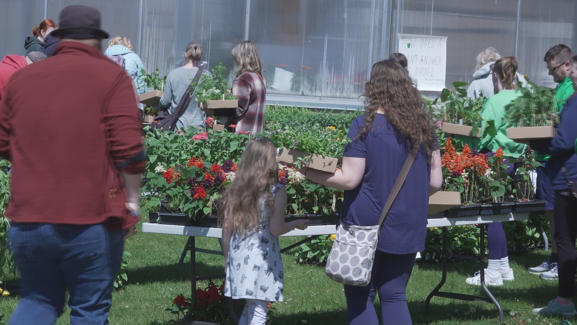Sun Prairie high schools host annual plant sale