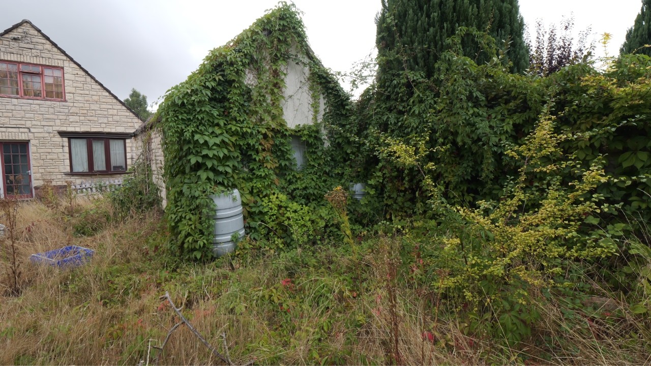 I transformed a 19-year-overgrown garden!