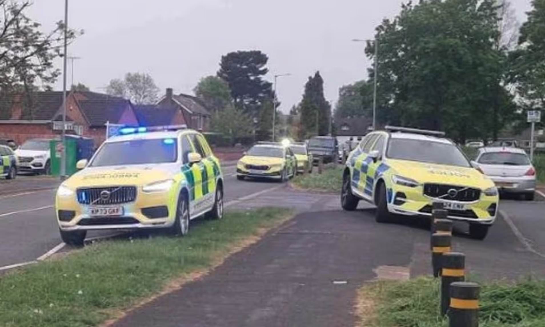Teenage boy dies after being struck by fallen tree despite paramedics ...